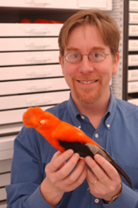 Richard Prum | Program in Physics, Engineering, and Biology (PEB)